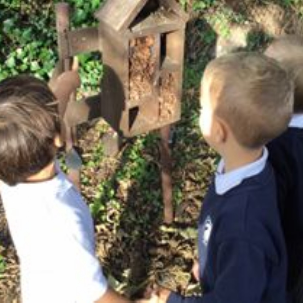Tannery Drift First School - Early Years Visit