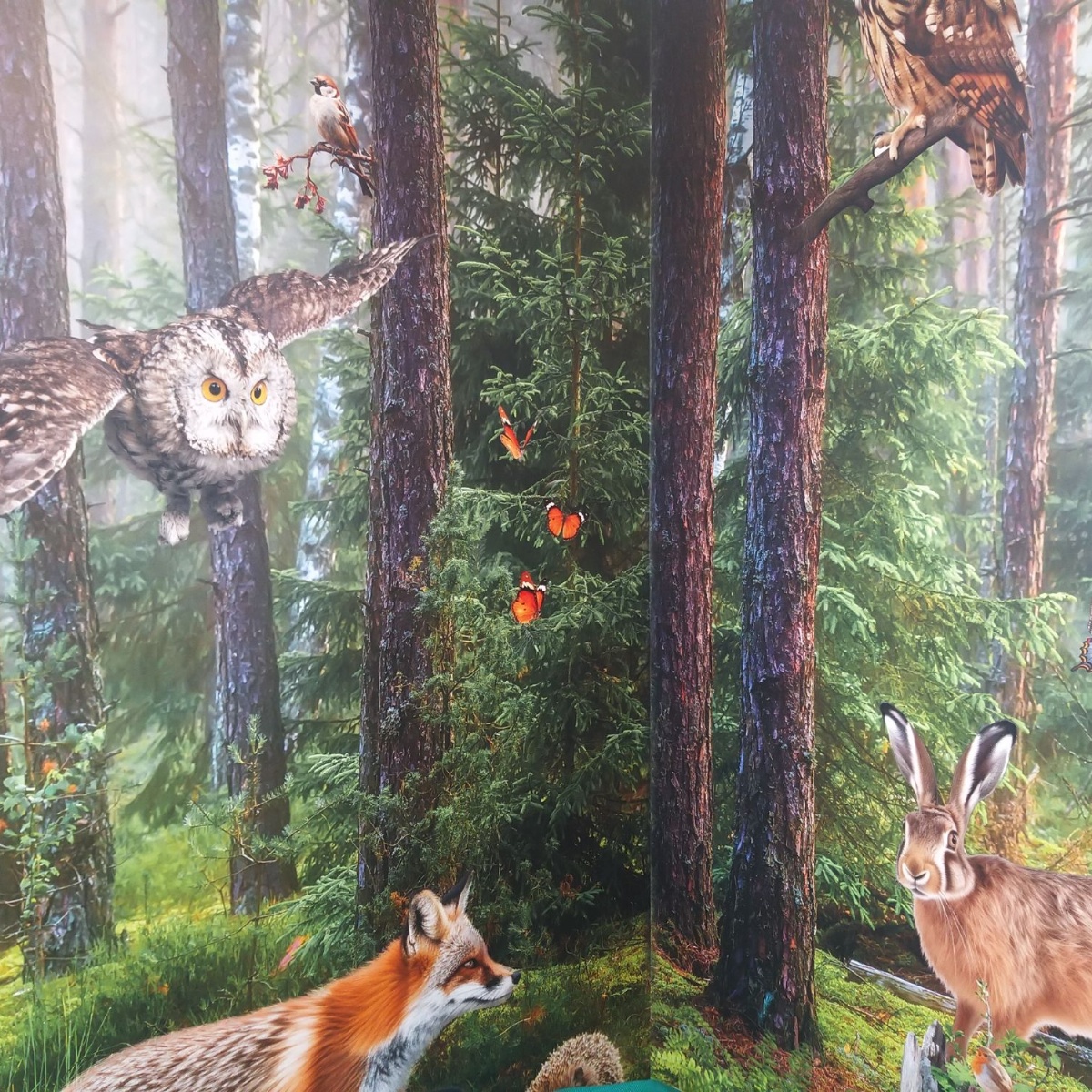 Tannery Drift First School - New Wall Art